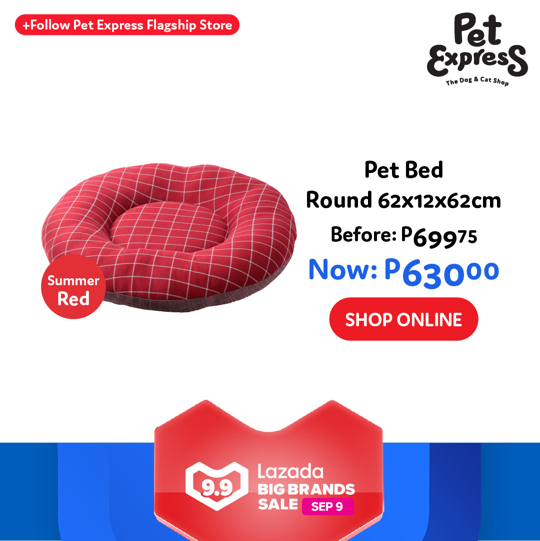 Pet Express Pawsome Deals at Lazada 9/9 Sale | Manila On Sale